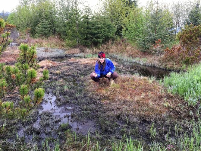 Muskeg is a unique environment among Petersburg's mountainous landscape ...