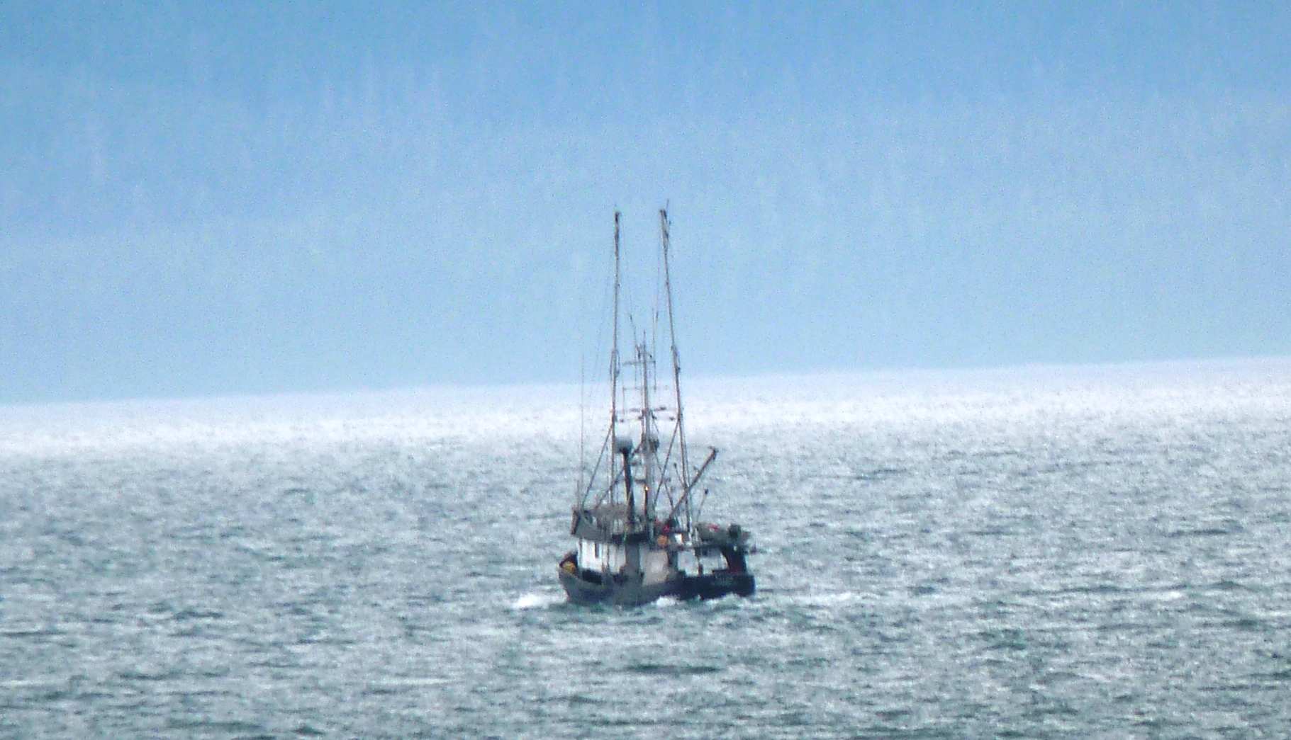 Commercial salmon trolling to reopen in Southeast - KFSK